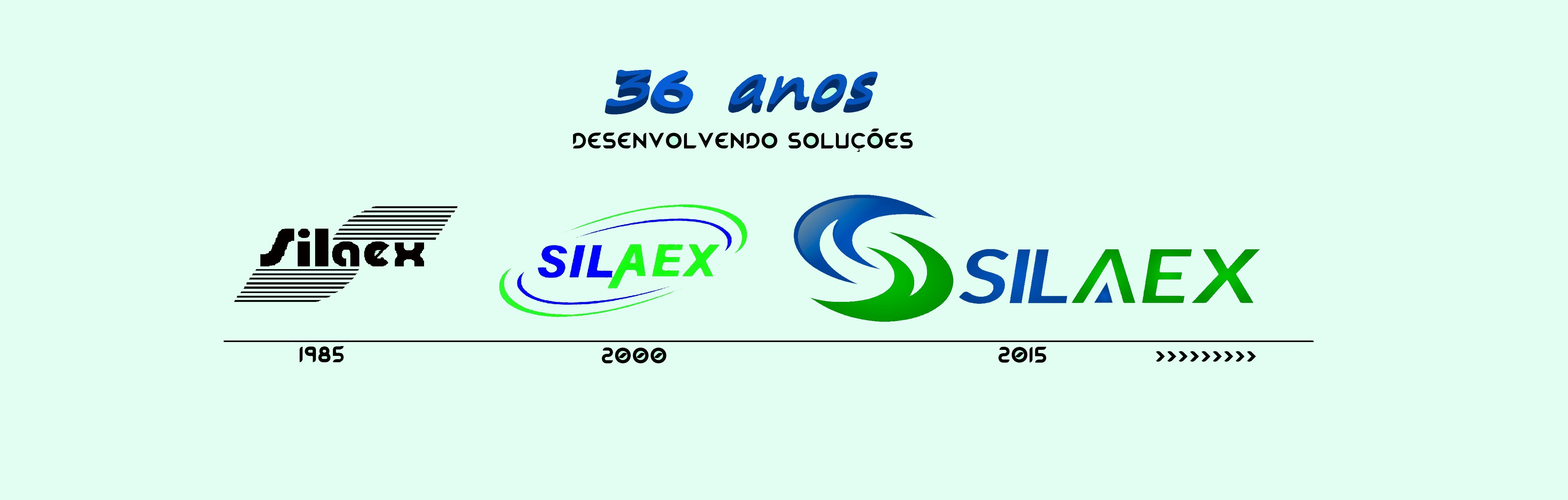 Silaex Química Ltda. - Quem Somos